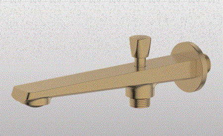 BRASS BUTTON SPOUT WITH HAND SHOWER CONNECTION - AQUANT - ( BRUSHED GO ...